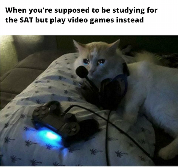 The 30 Best SAT Memes to Get You Through Test Prep · PrepScholar