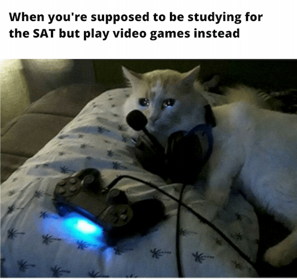 The 30 Best SAT Memes to Get You Through Test Prep · PrepScholar
