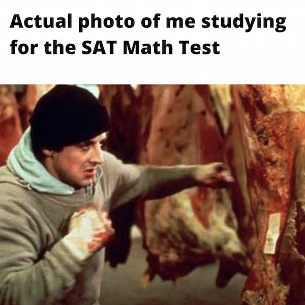 The 30 Best SAT Memes to Get You Through Test Prep · PrepScholar