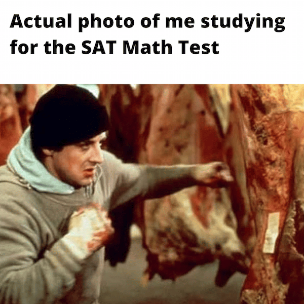 The 30 Best SAT Memes to Get You Through Test Prep · PrepScholar