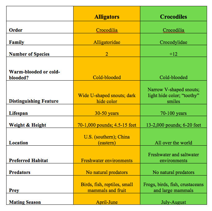 Alligator vs Crocodile: What’s the Difference? · PrepScholar