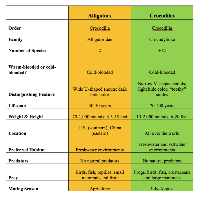 Alligator vs Crocodile: What’s the Difference? · PrepScholar