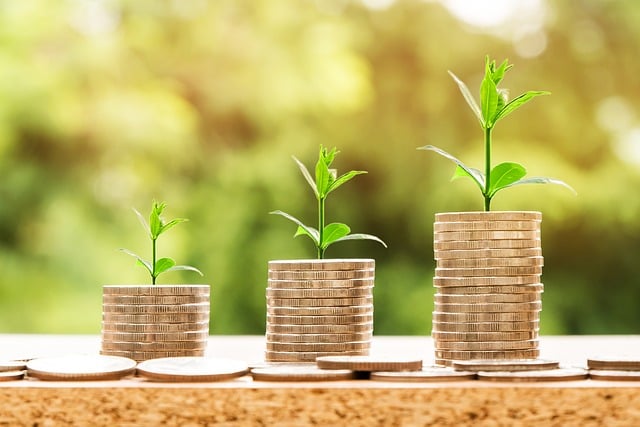 The 12 Best Accounting Schools in the United States · PrepScholar