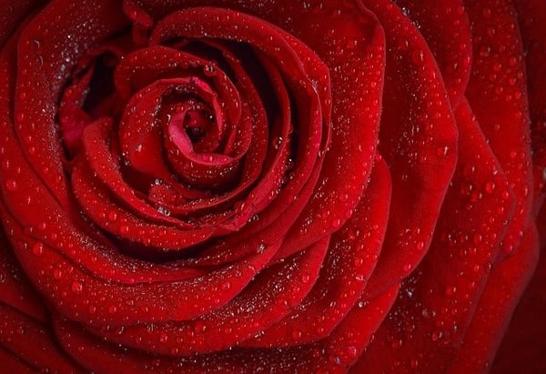 What Colors Make Red? Understanding Color · PrepScholar