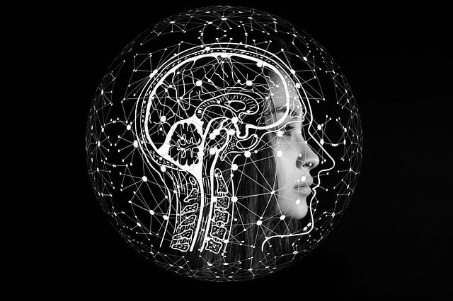 Is AP Psychology Hard? 5 Key Factors Discussed · PrepScholar