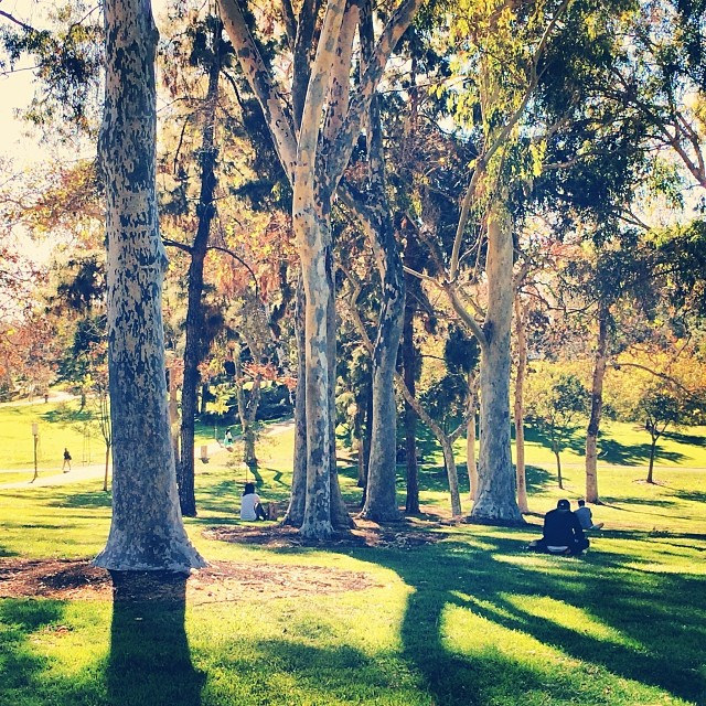 Ultimate Guide to the University of California Schools · PrepScholar