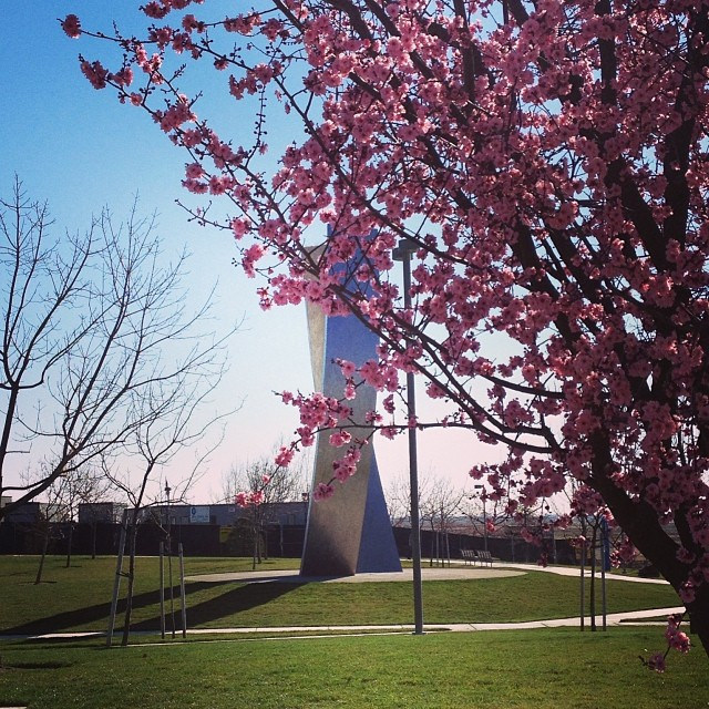 Ultimate Guide to the University of California Schools · PrepScholar