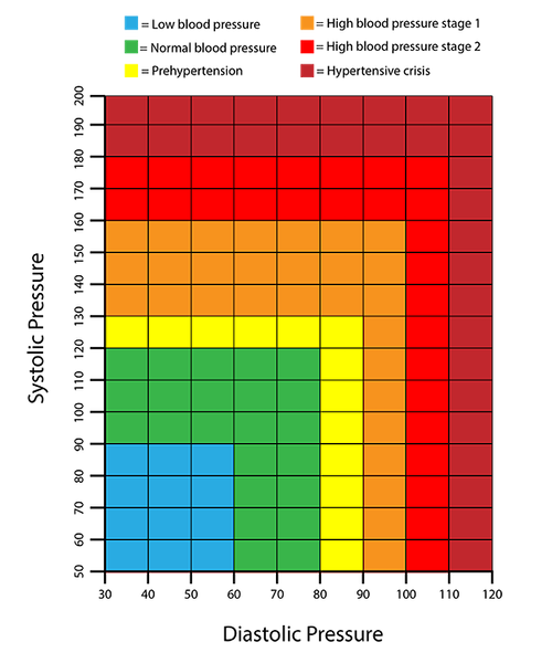 Best Blood Pressure Chart: Understanding Your Readings · PrepScholar