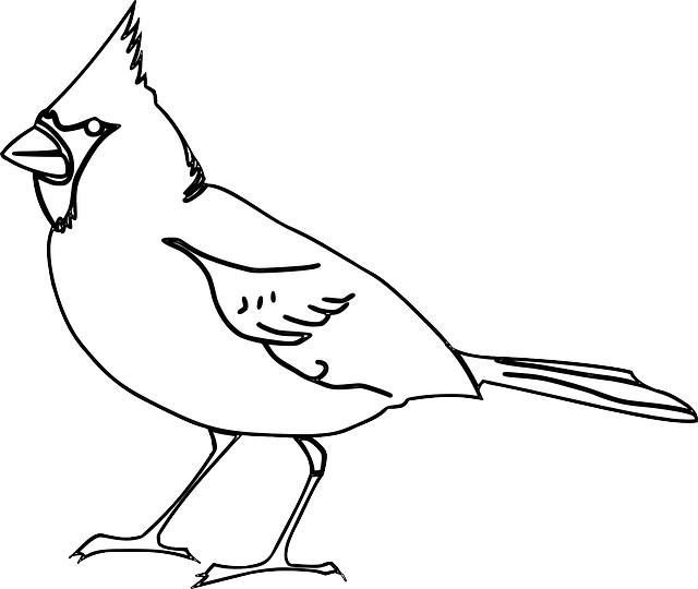 How to Draw Contour Line Art: 4 Key Steps · PrepScholar