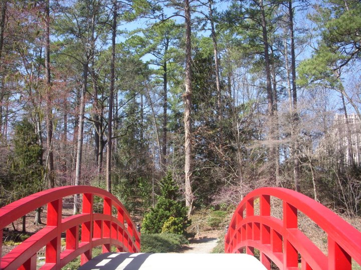 Why Duke Essay: 4 Tips for a Great Essay · PrepScholar