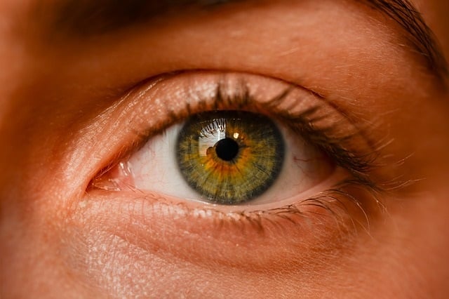 The Science of Hazel Eyes · PrepScholar