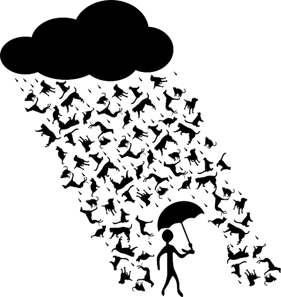 53 Metaphor Examples in Literature, Music, and Everyday Life