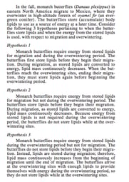 Expert Guide to the ACT Format: What You Need to Know · PrepScholar