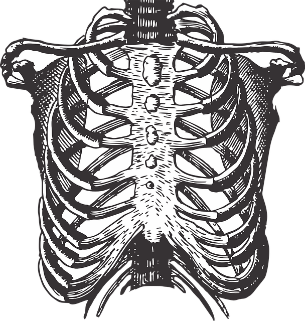 71 Body Parts in Spanish and How to Talk About Them · PrepScholar