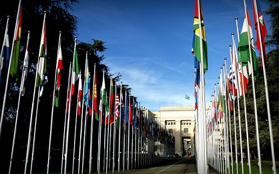What Is Model UN? 4 Reasons to Join · PrepScholar