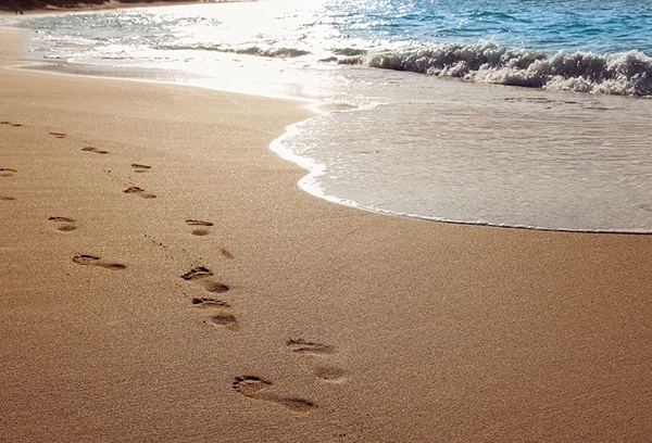 Command of Evidence: 5 Key SAT Reading Strategies · PrepScholar