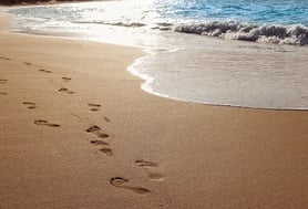 Command of Evidence: 5 Key SAT Reading Strategies · PrepScholar