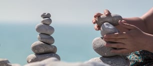 What Is Dynamic Equilibrium? Definition and Examples · PrepScholar