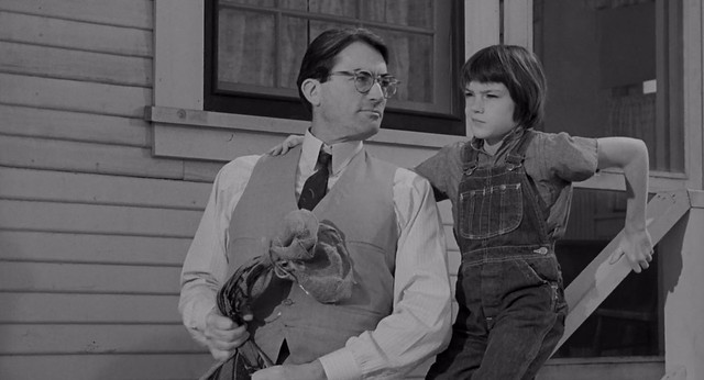 18 Critical To Kill a Mockingbird Quotes, Explained · PrepScholar