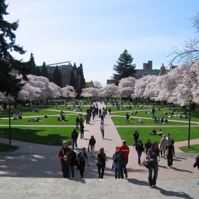4 Tips for Writing Perfect University of Washington Essays · PrepScholar