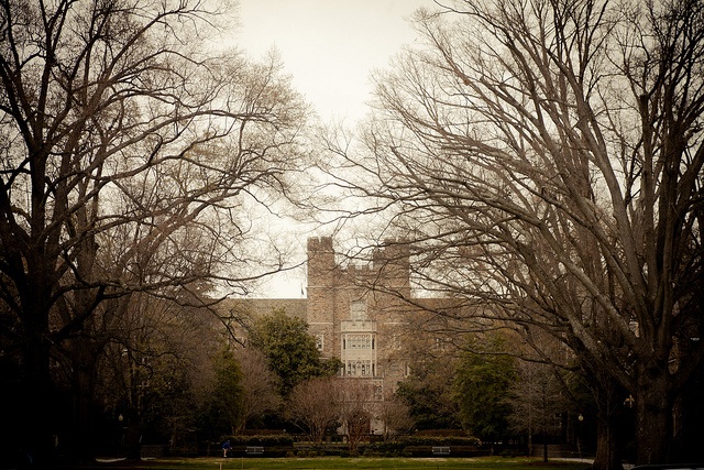 Duke TIP SAT Score Requirements · PrepScholar