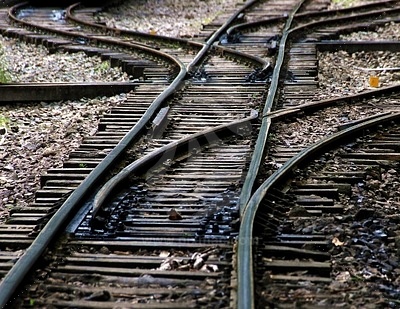 How Can You Build the Most Versatile College Application? · PrepScholar